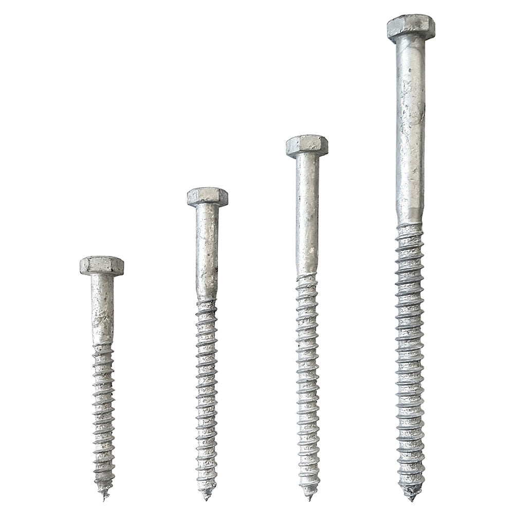 COACH SCREWS – Macro Timber Supplies