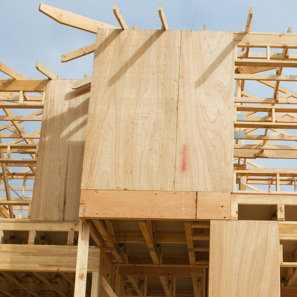 SHEET BRACING – Macro Timber Supplies