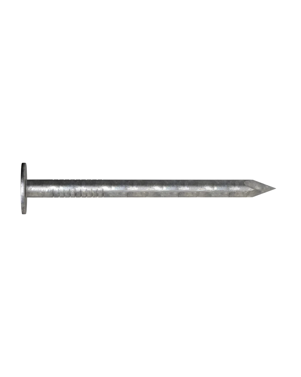 CLOUT GAL 30 X 2.8MM (2KG) 1000PCS – Macro Timber Supplies