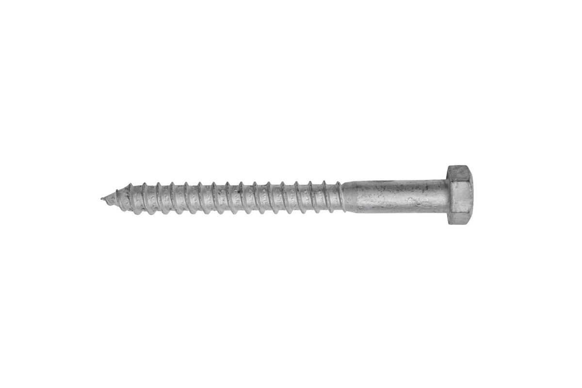 COACH SCREW GAL 12 X 50 - LOOSE – Macro Timber Supplies